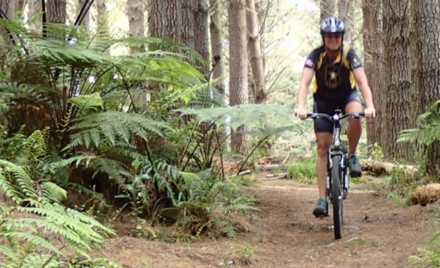 Exploring the New Zealand Cycle Trail | Flying Kiwi Blog